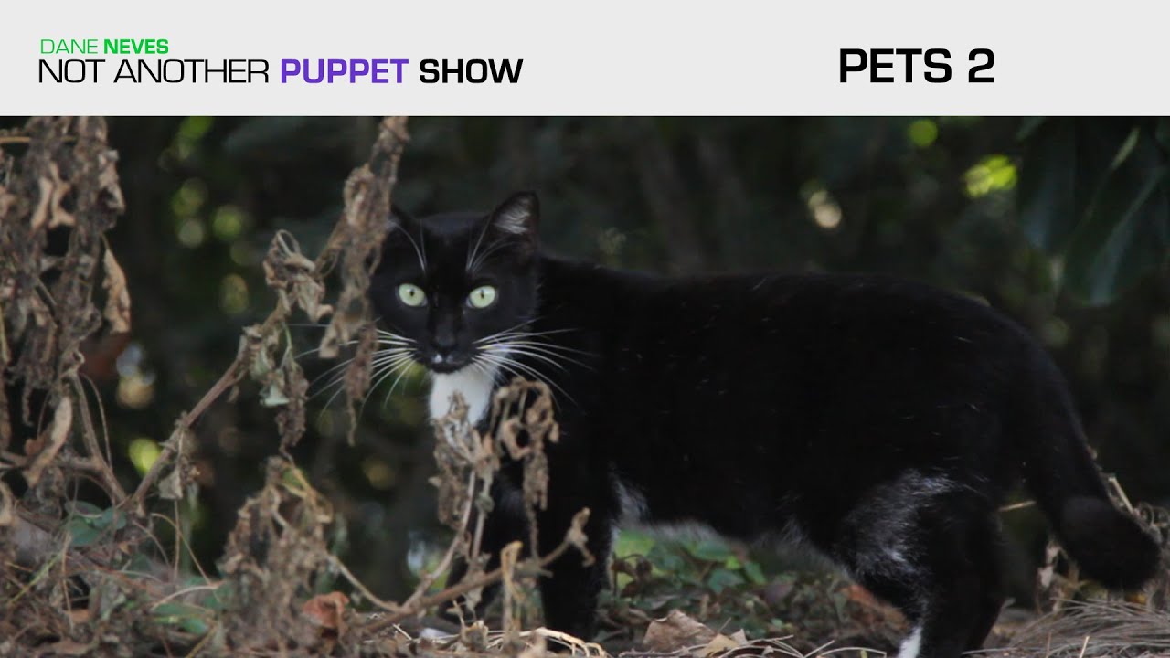 Pets 2 | Not Another Puppet Show - YouTube
