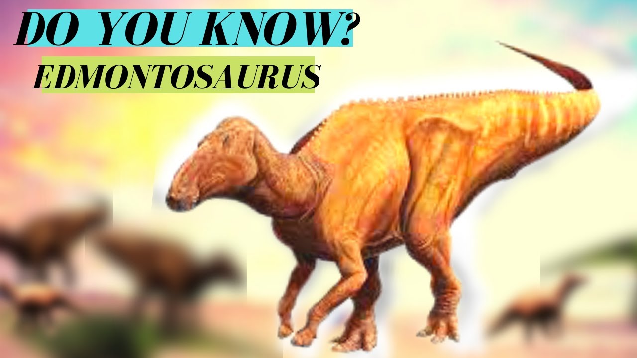 Edmontosaurus documentary do you know Edmontosaurus | Journal entry #5 ...