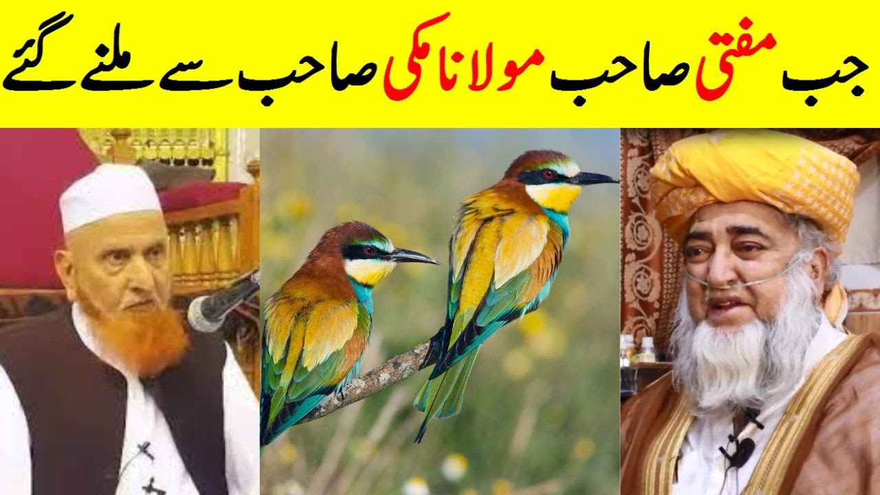 When Mufti Sahib went to meet Maulana Makki al Hijazi || Mufti Zarwali ...
