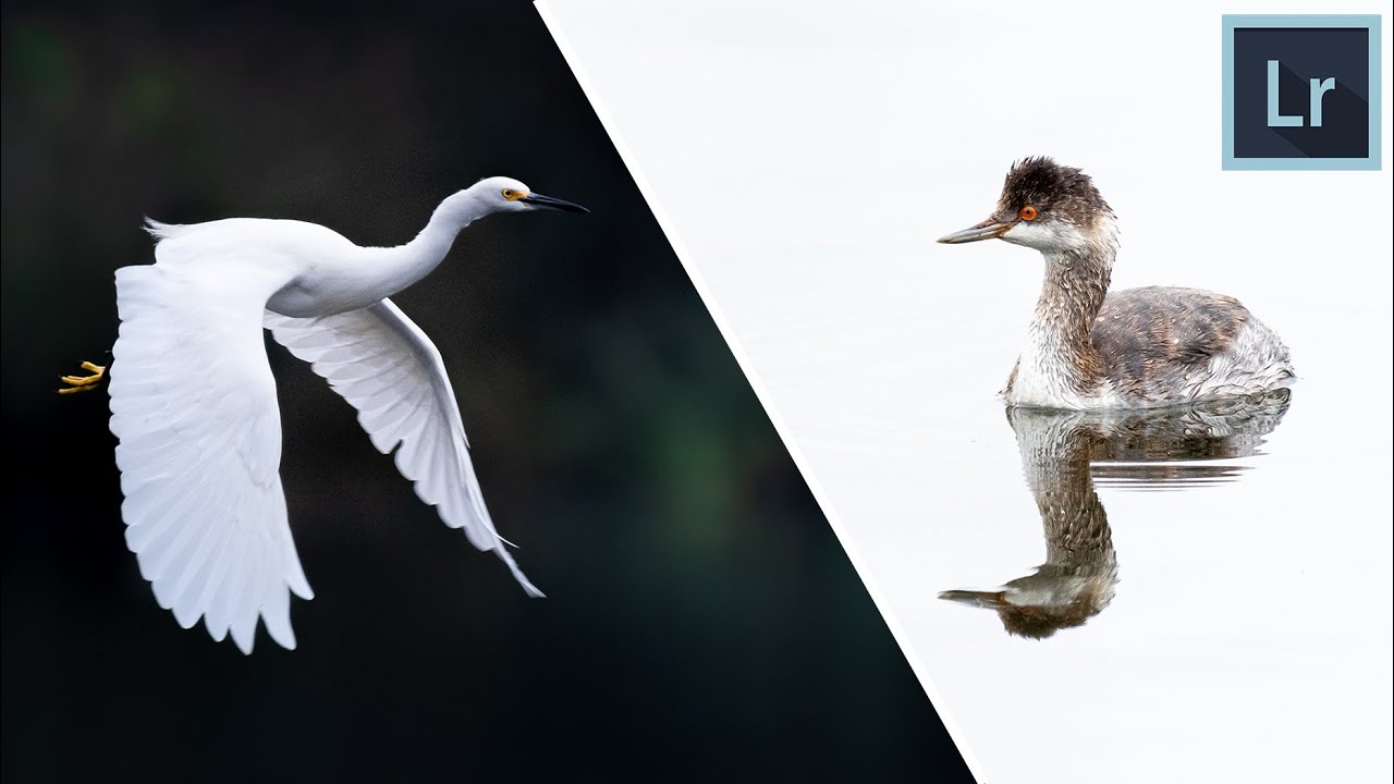 Low Key vs High Key Light | HOW TO Edit in LIGHTROOM - YouTube