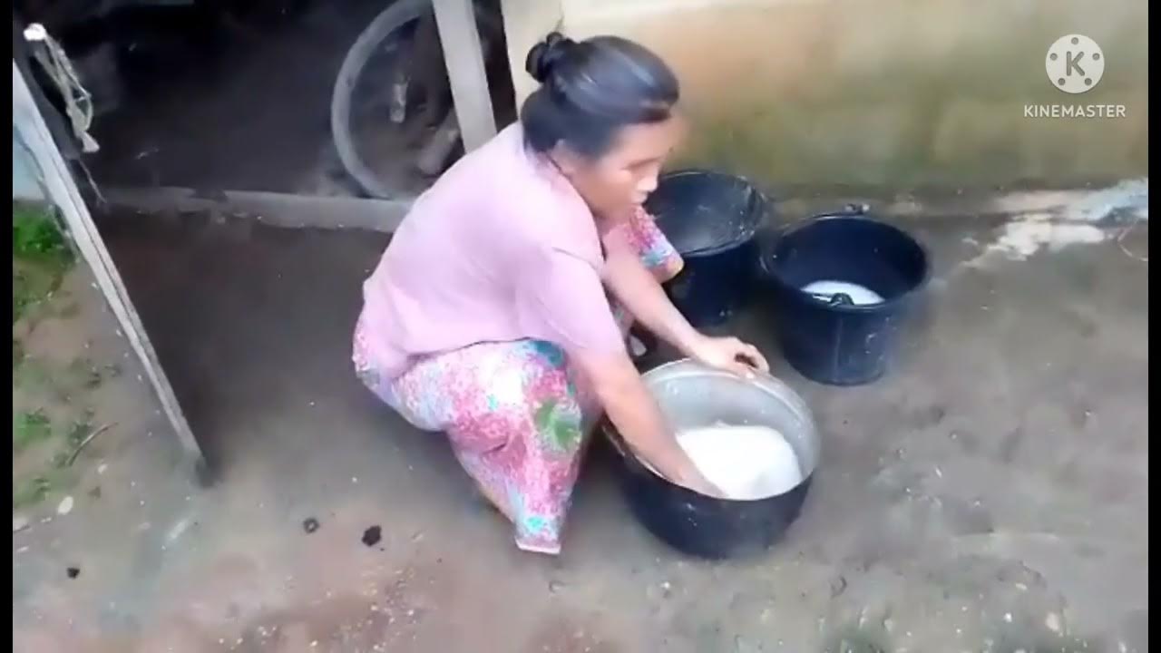 Pub npua sawv ntxov - YouTube