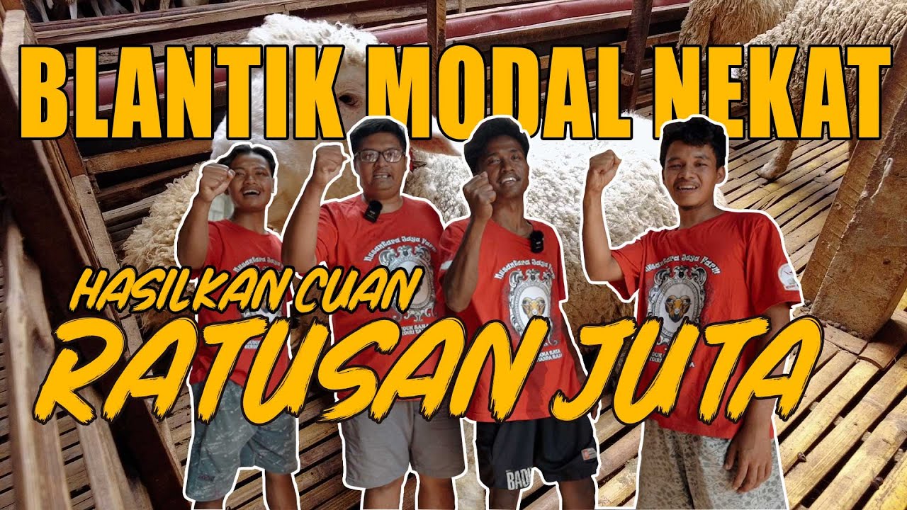 Blantik modal nekat hasilkan CUAN RATUSAN JUTA Nusantara Jaya Farm ...