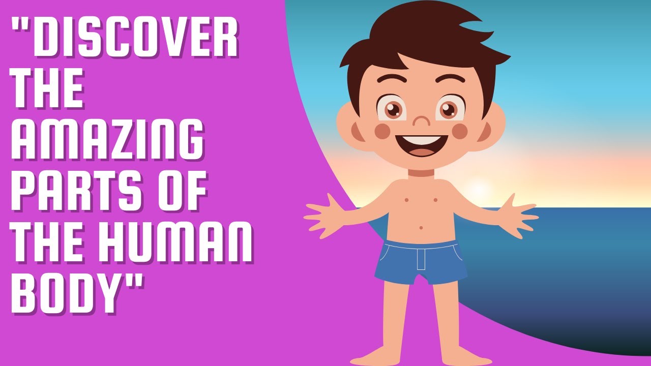 PARTS OF THE HUMAN BODY / LEARN BODY PARTS NAME / TINY TOTS STARS - YouTube