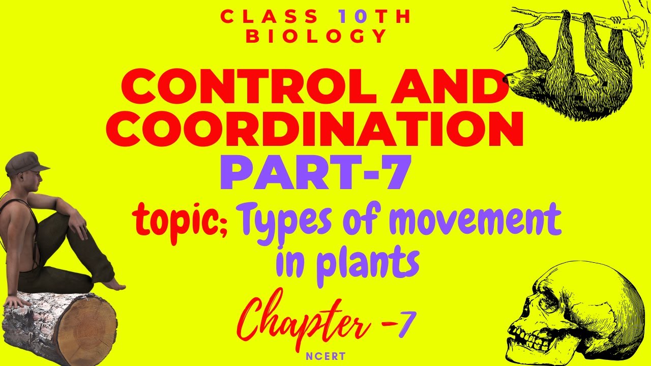 Types Of Movement In Plants Control And Coordination NCERT Chapter 07 types-of-movement-in-plants-control-and-coordination-ncert-chapter-07
