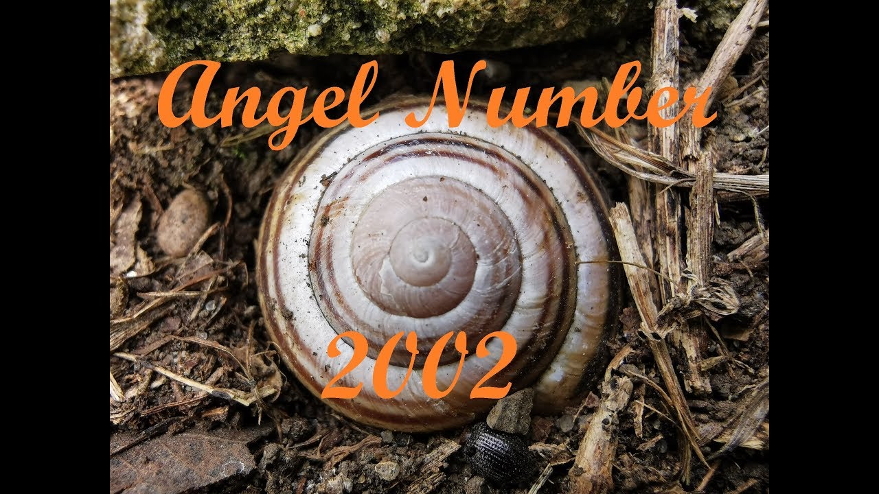 2002 Angel Number - Meaning & Symbolism - YouTube
