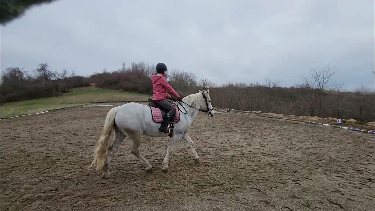Izzy and Pepper. USDF intro A March 2023 - YouTube
