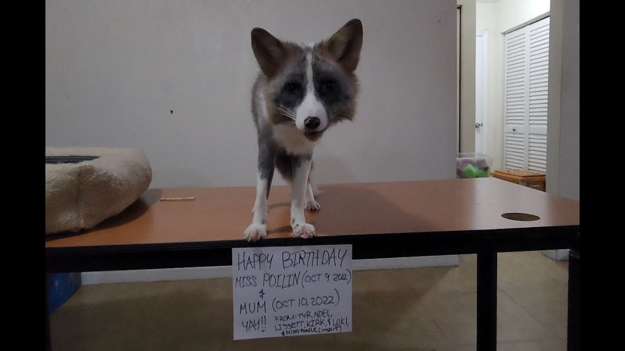 Happy Birthday Miss Poilin & Mum - YouTube