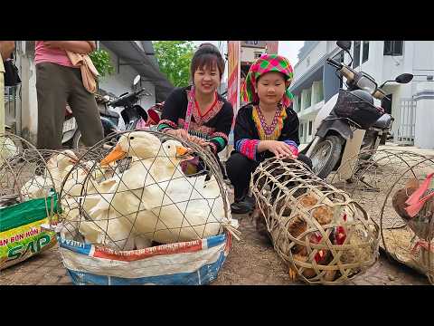Going to the market with my daughter to sell chickens helped me earn a decent amount of money