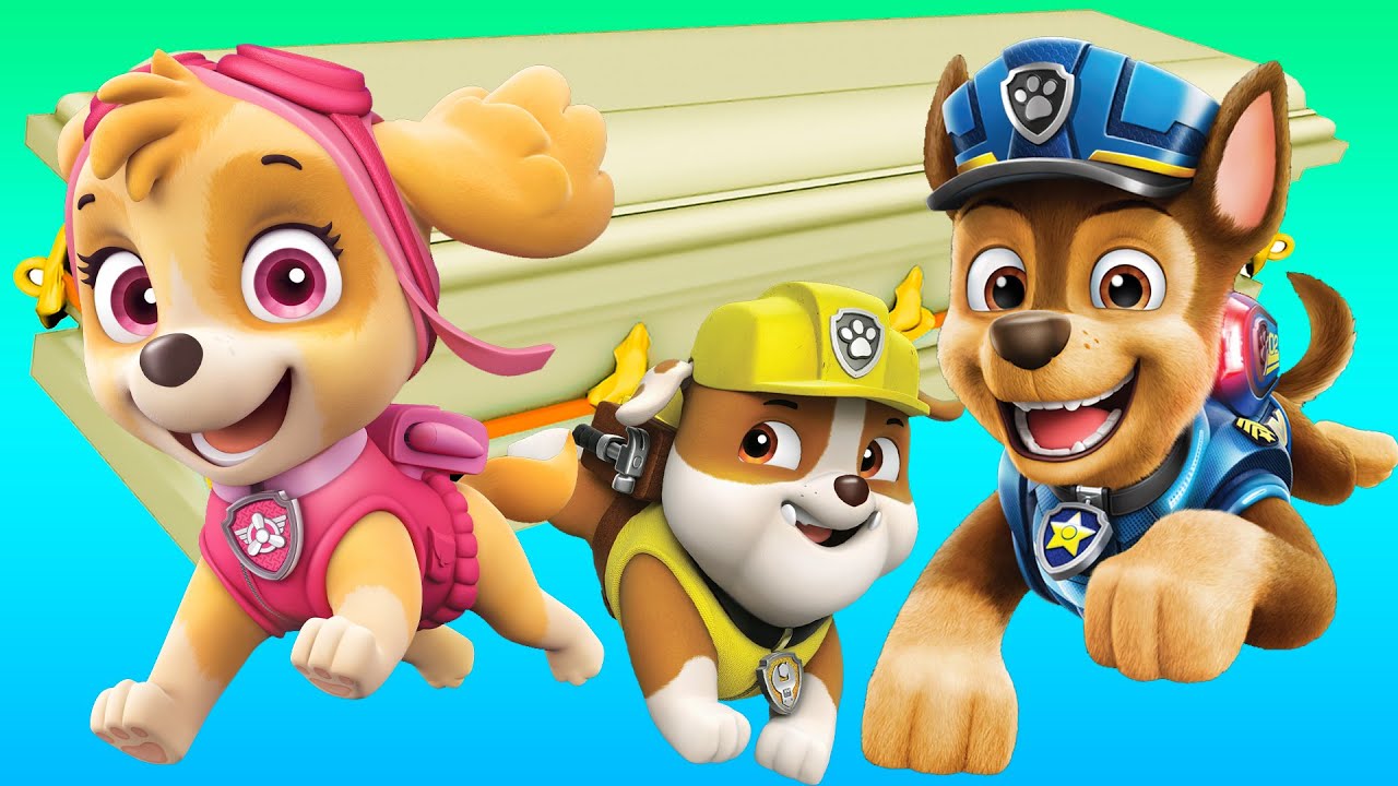 Paw Patrol - Coffin Dance Song (COVER) - YouTube