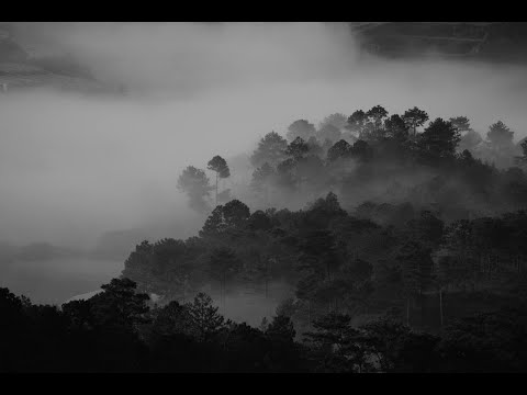 Denizlerin Dalgasıyım 🌊 | Anadolu Rock Rüzgarı