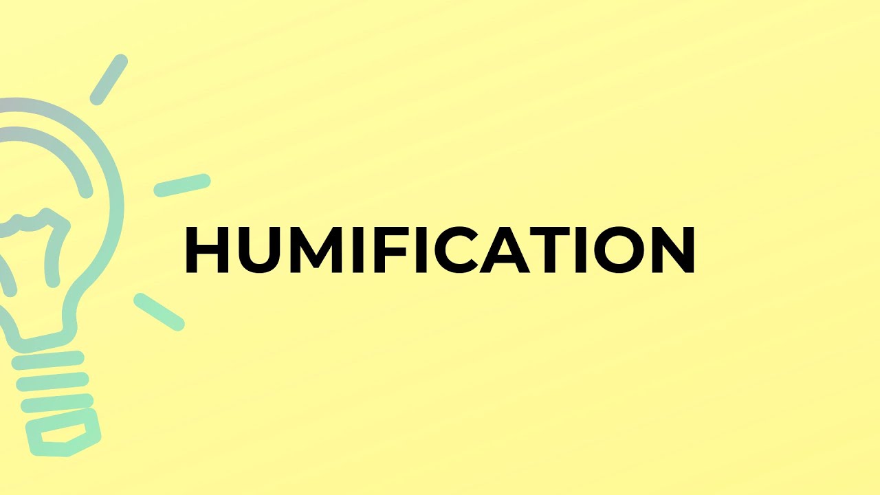 What is the meaning of the word HUMIFICATION? - YouTube