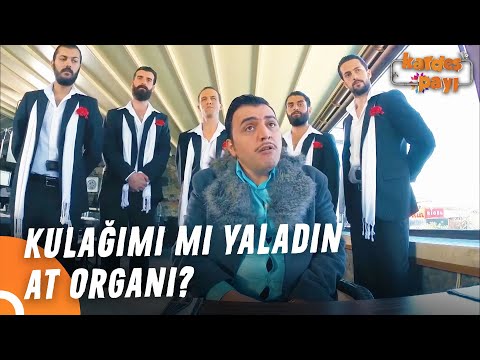 Ufak Bir Kulak Yalama Mevzusu | Kardeş Payı