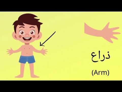Body Parts In Arabic| Parts Of Body In English And Arabic| Learn With ...