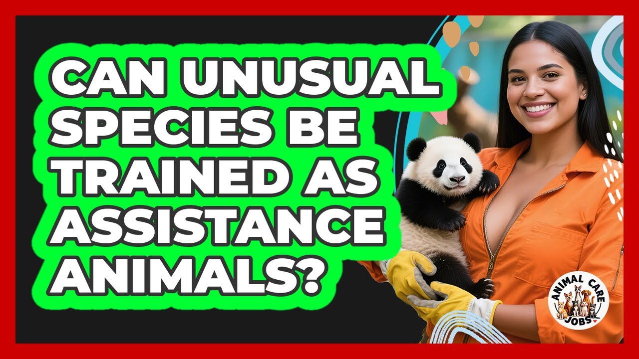 Can Unusual Species Be Trained As Assistance Animals? - Animal Care ...