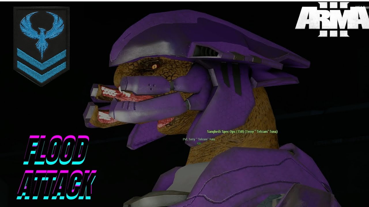 ArmA 3 Ignis Halo Flood Op | A Grunts POV - YouTube