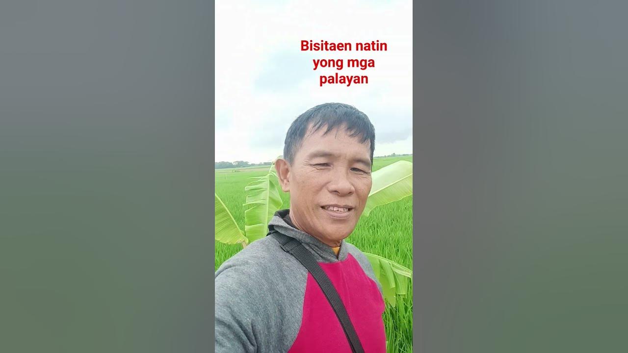 bisita Tayo sa farm#viralvideo #viral - YouTube