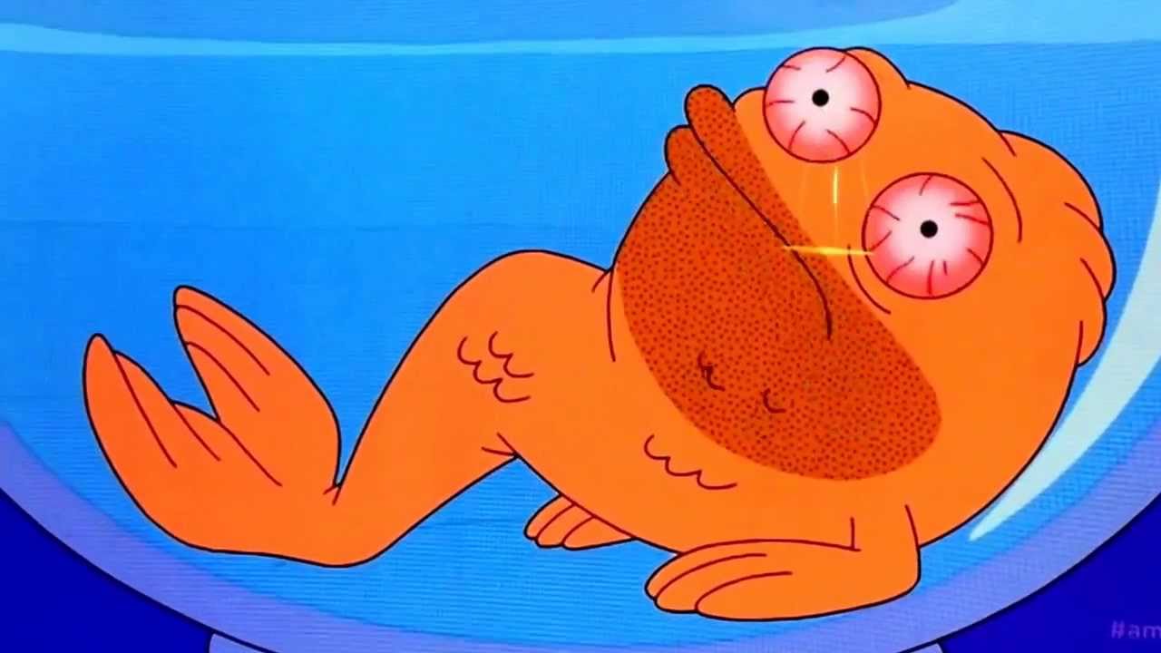 Funny Klaus in hotel - YouTube