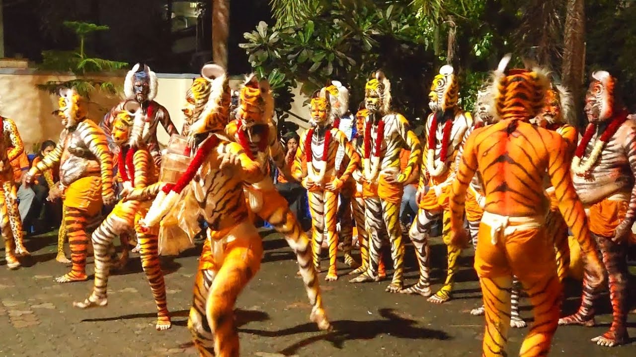 Pili Nalike Malpe | Pili Vesha | Amazing |TIGER DANCE Super ...