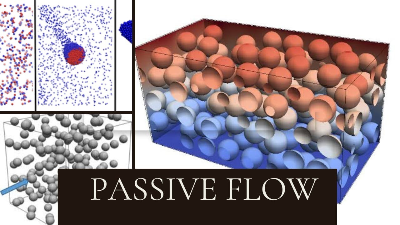 Passive Flow System | what is passive flow | drahmadkhursheed | - YouTube