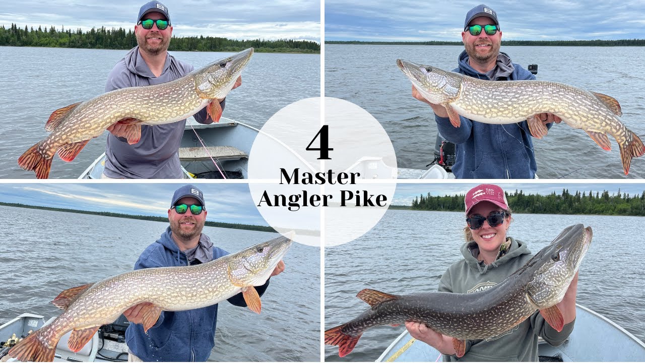 Four Master Angler Pike! - Day 10 - YouTube