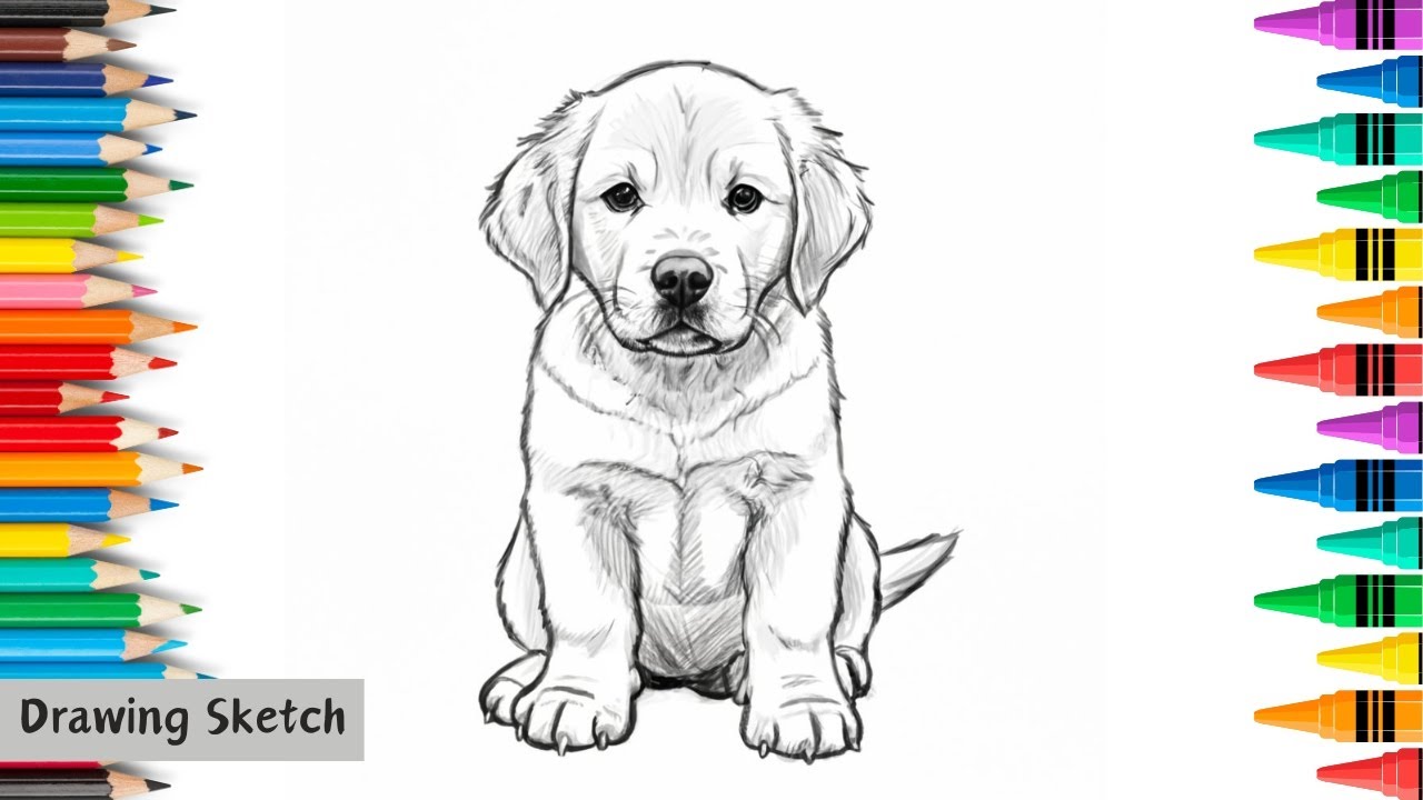 Learn How to Draw this sketch on paper Tutorial | Step by Step Drawing ...