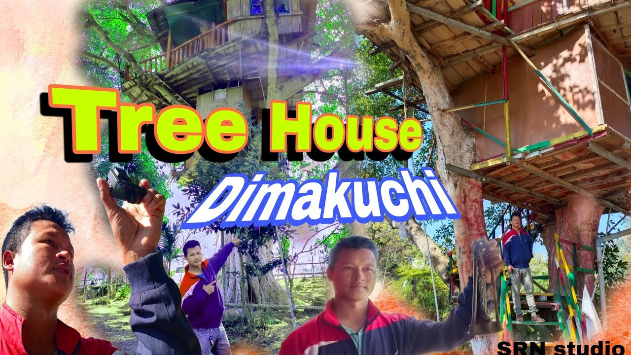 Tree House Dimakuchi Assam || Travel Vlog || First Visit to Tree house ...
