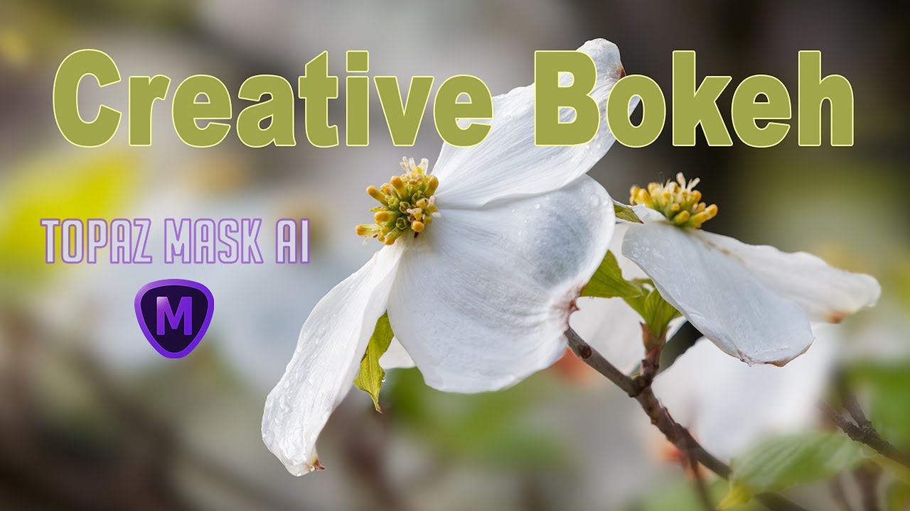 CREATIVE BOKEH: TOPAZ MASK AI - YouTube