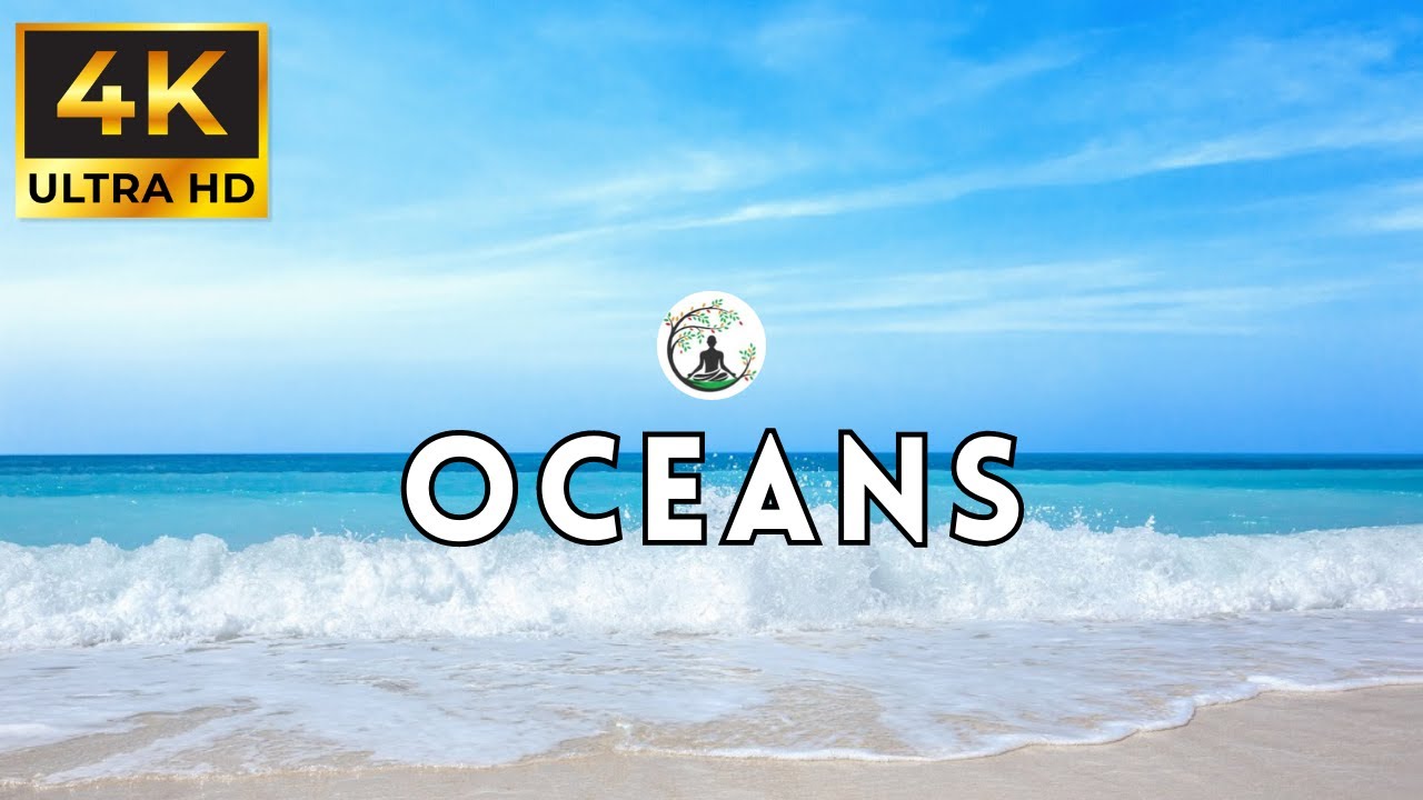 Journey to the World's Oceans: A 4K Nature Film with Soothing Sounds 🌊🎵 ...