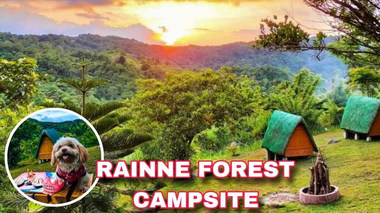 RAINNE FOREST CAMPSITE TANAY RIZAL / SOBRANG GANDA NG NATURE DITO - YouTube