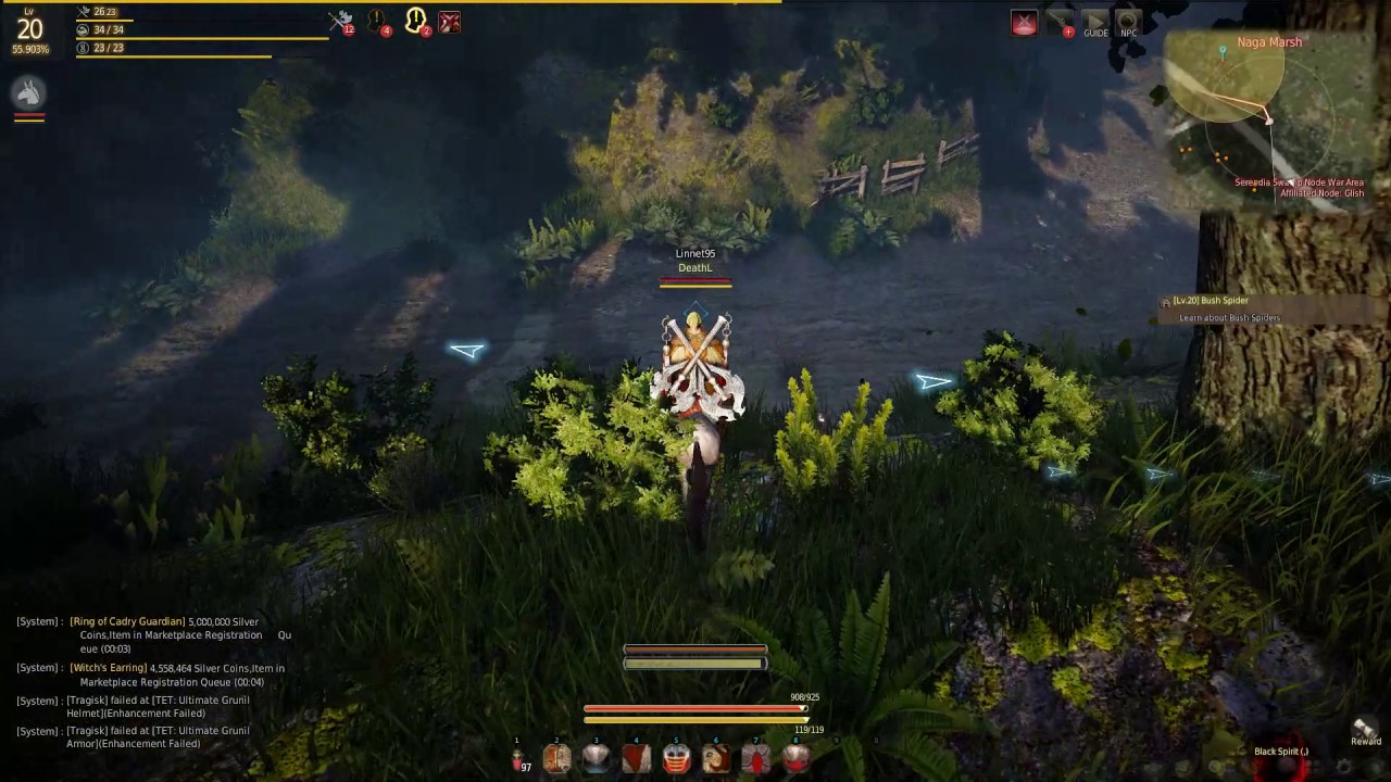Bush Spider Quest Black Desert Online - YouTube