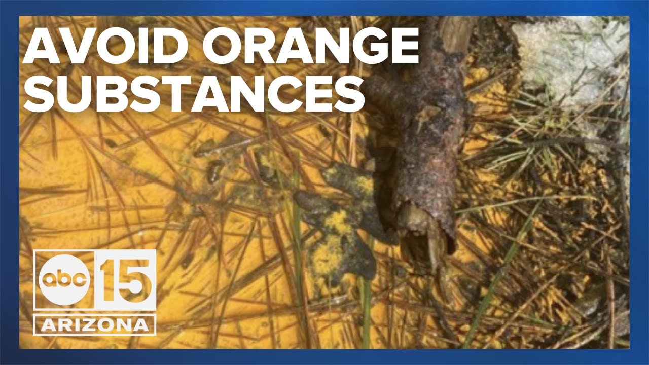 Public urged to avoid 'orange substances' discovered in Walker, Arizona ...