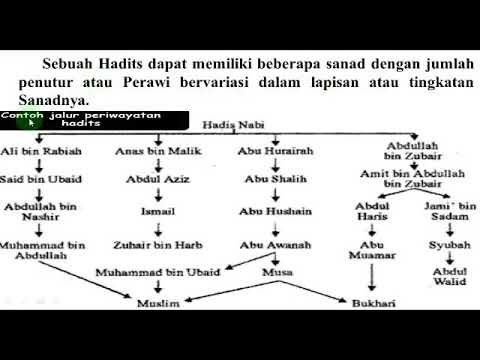 11B.Contoh dan Urgensi Sanad (Struktur Hadis) Pengantar Ilmu Al-Qur'an ...