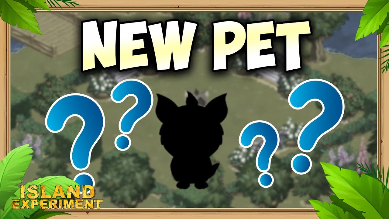 Island Experiment — New Pet Teaser! - YouTube