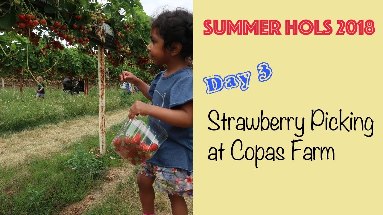 Summer Hols 2018 | Day 3 - Strawberry Picking at Copas Farm - YouTube