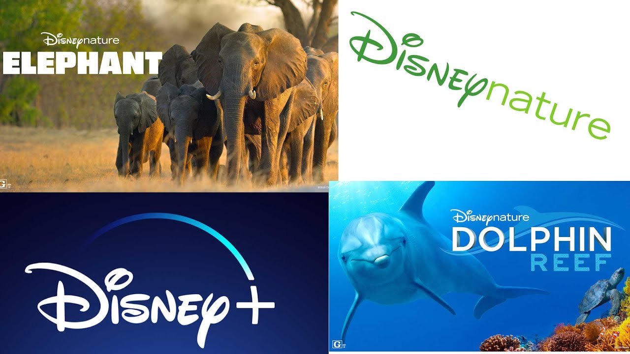 DisneyNature Reviews: Dolphin Reef and Elephant on Disney+ - YouTube