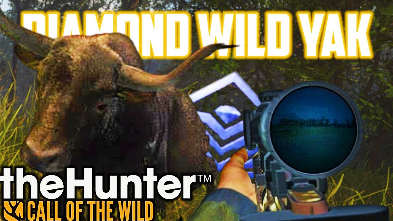 Diamond Yak and my First Snow Leopard on Sundarpatan | theHunter:Call ...