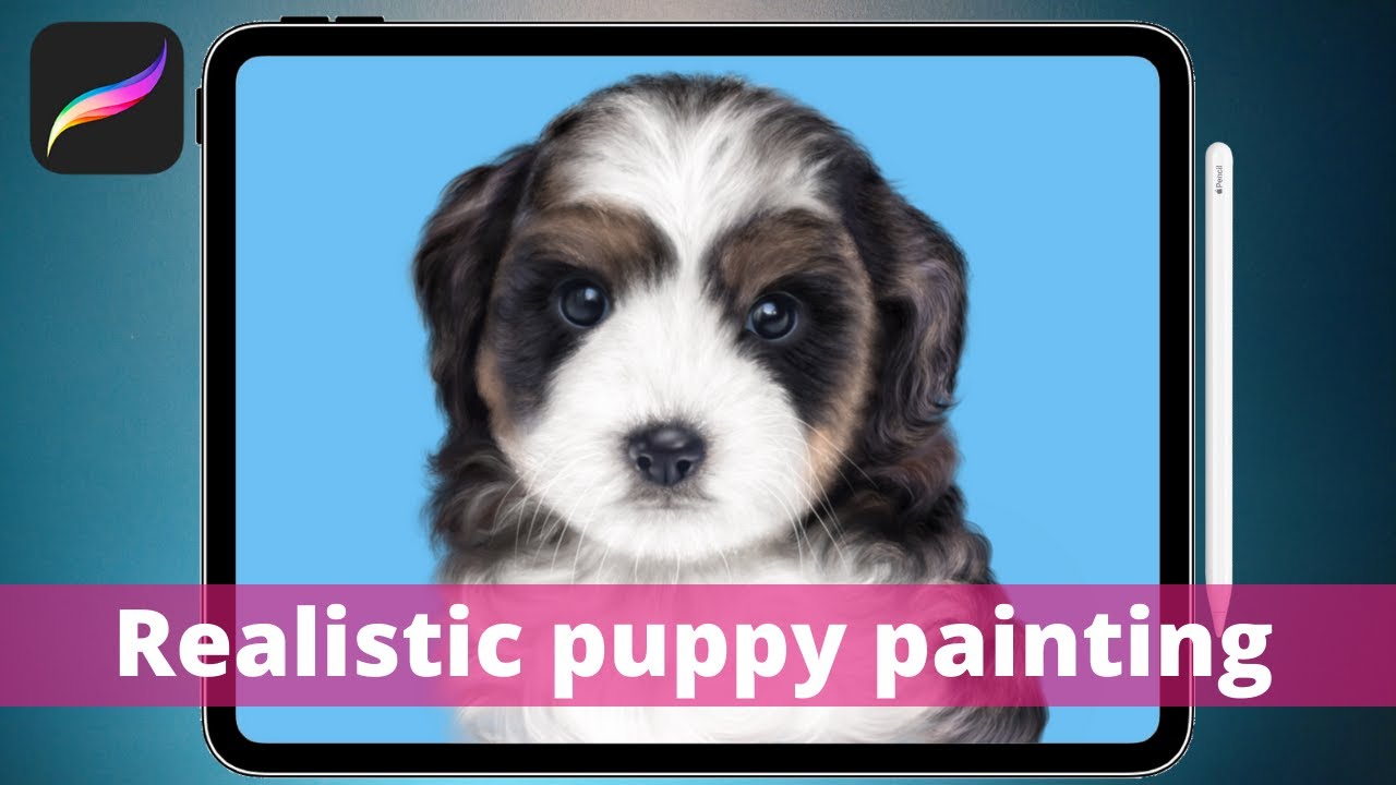 Realistic Dog Portrait // Step By Step Procreate Tutorial - YouTube