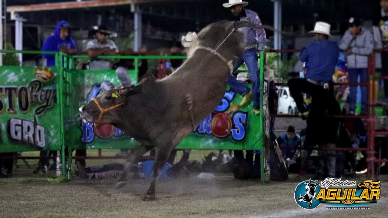 LL3GARON CON TODO PARA DAR ESPECTÁCULO! GONZALEZ RANCH. EN ...