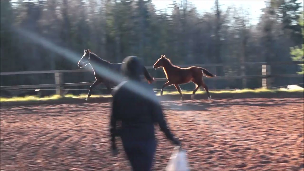 Ramilla 14 11 2021 - YouTube