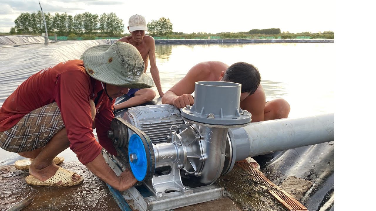 BƠM LUPE | BƠM LƯU LƯỢNG | BƠM TRÊN 100% INOX 304 | PUMP | BƠM 168 ...