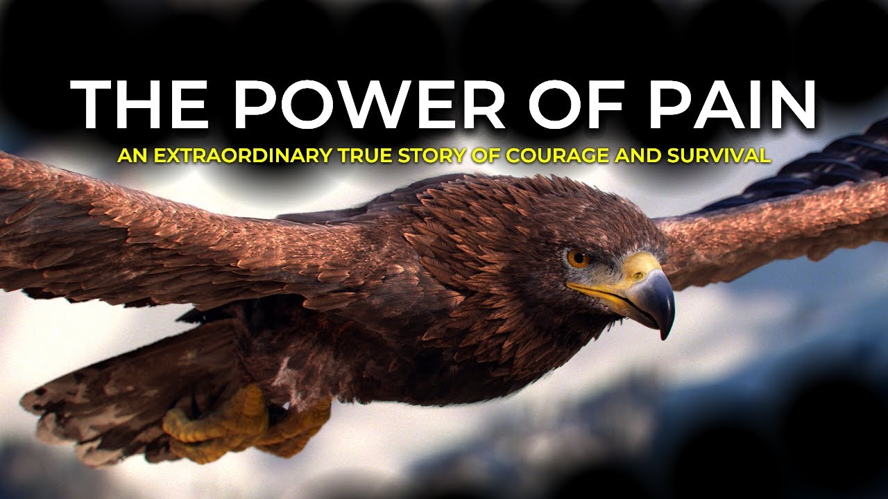 The Power Of Pain ( Eagle's Painful Transformation Story ) | Best ...
