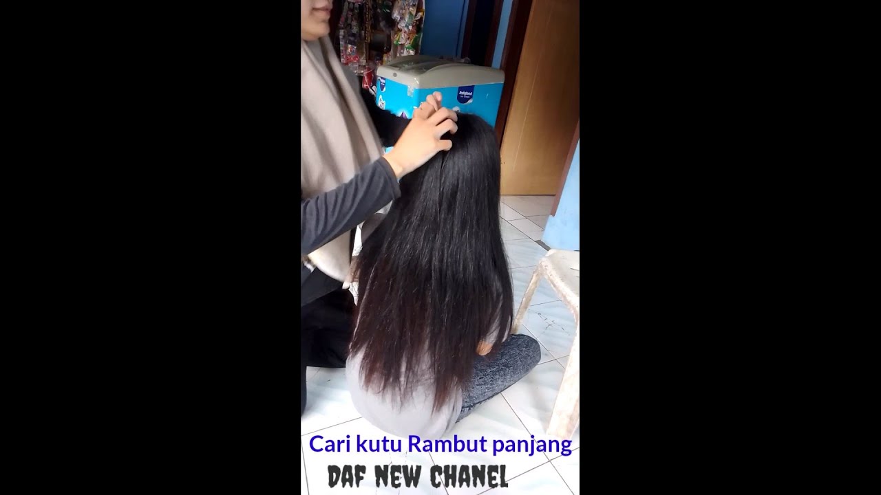 Cari kutu rambut panjang,rambut lembut dan wangi - YouTube