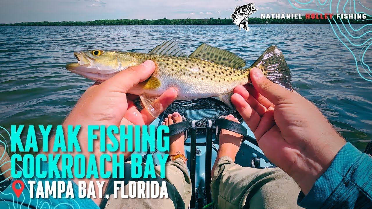 Kayak Fishing Cockroach Bay | Tampa Bay, FL Fishing - YouTube