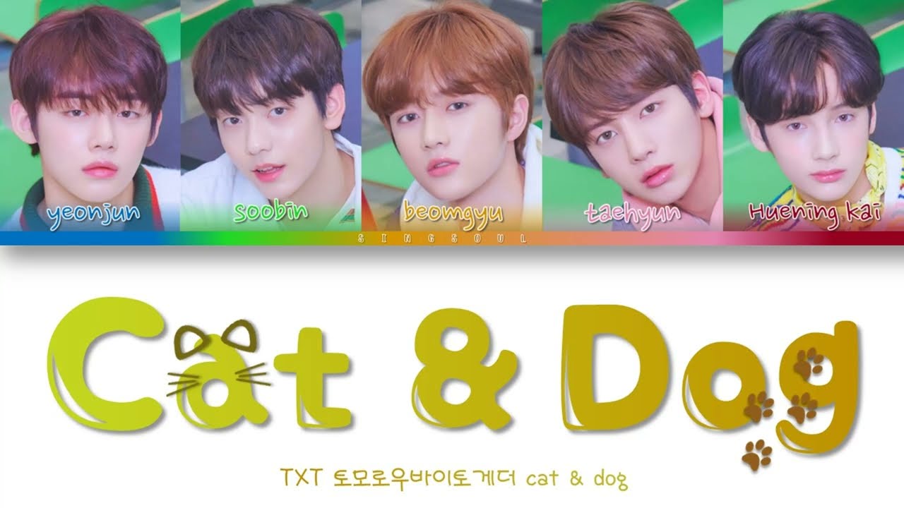 Cat & Dog TXT (투모로우바이투게더) [Han/Rom/Eng] Color coded lyrics - YouTube