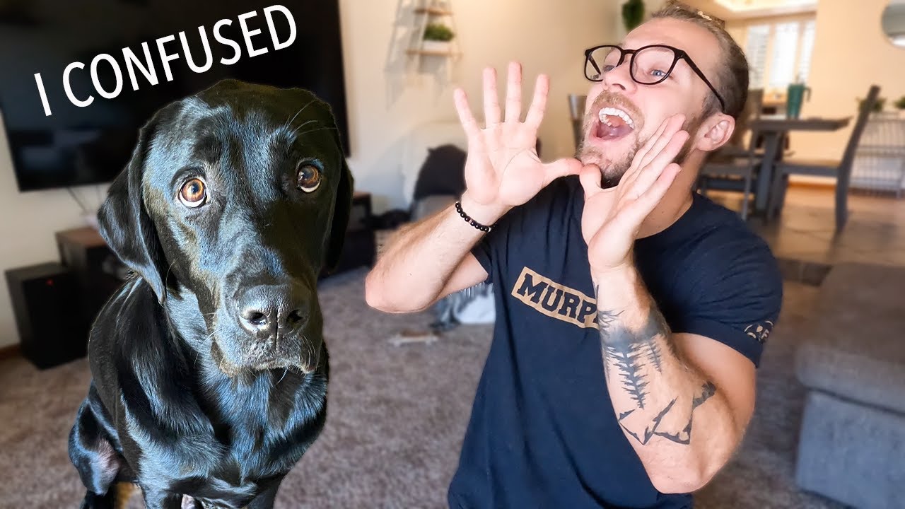 Calling My Dog When He's Right Next to Me - YouTube