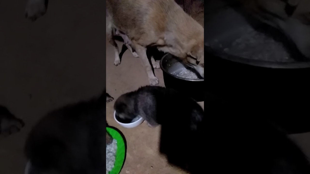 Vgsfcgjs Vfvv - YouTube