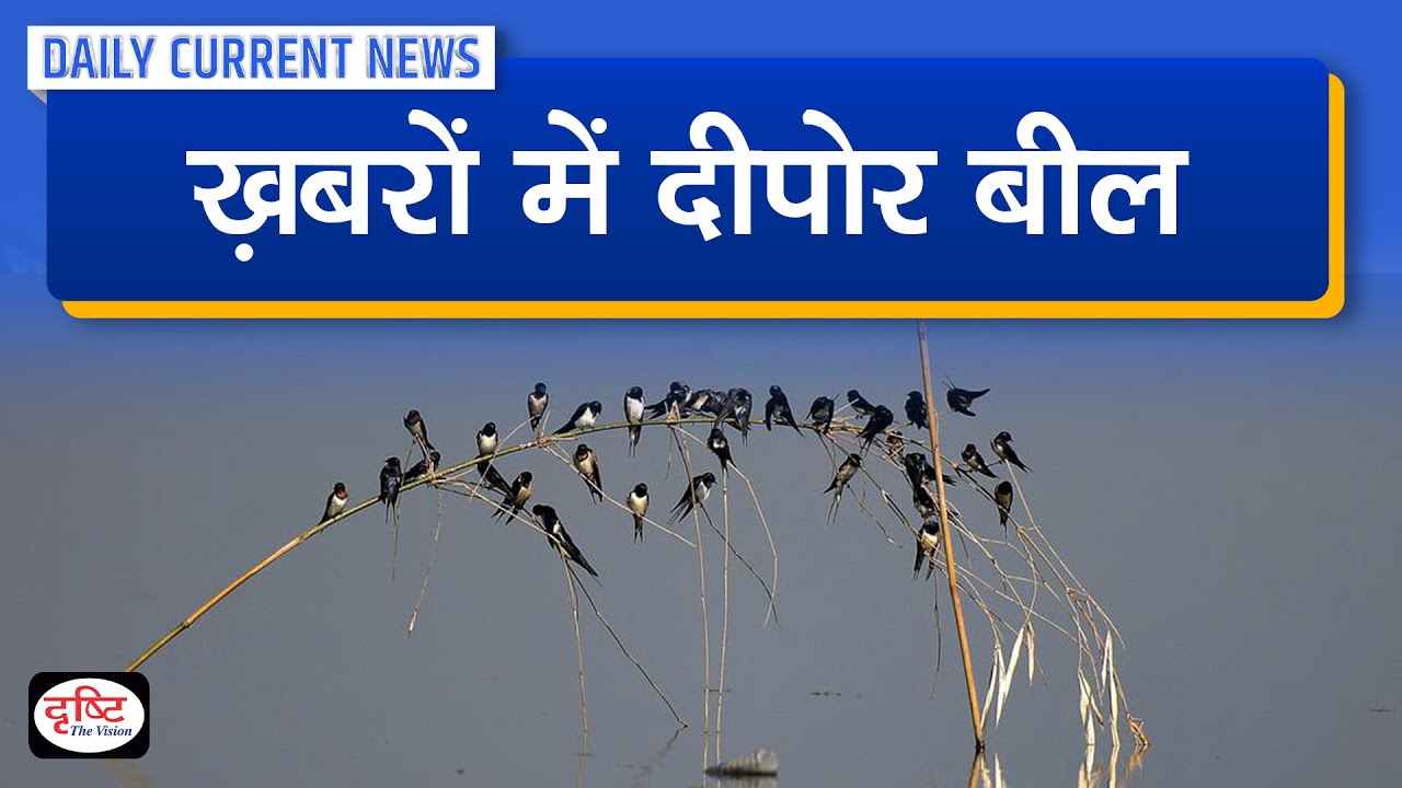Bird Species Count Up In Deepor Beel : Daily Current News | Drishti IAS ...