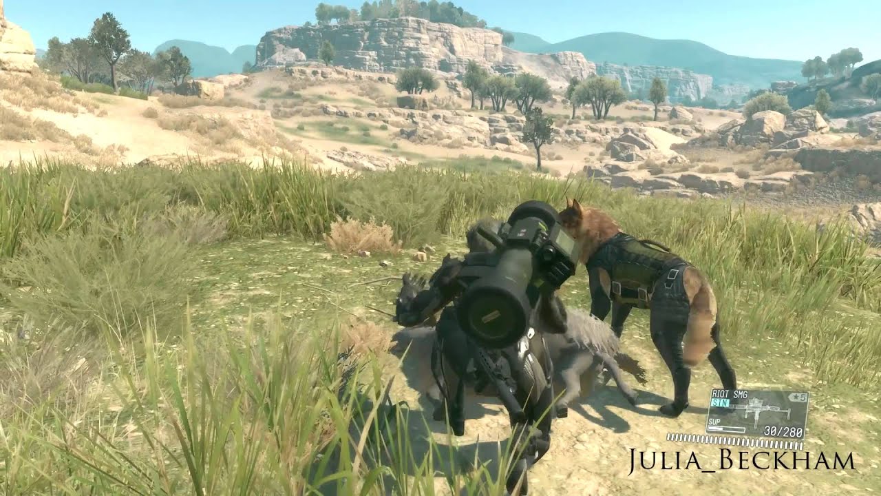 [MGS:V] Location Of All Animals In Afghanistan | Conservation - YouTube