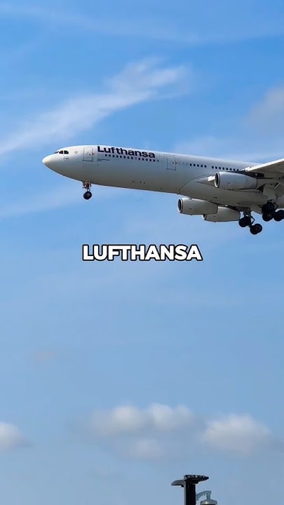 why Lufthansa still flies the airbus A340 - YouTube