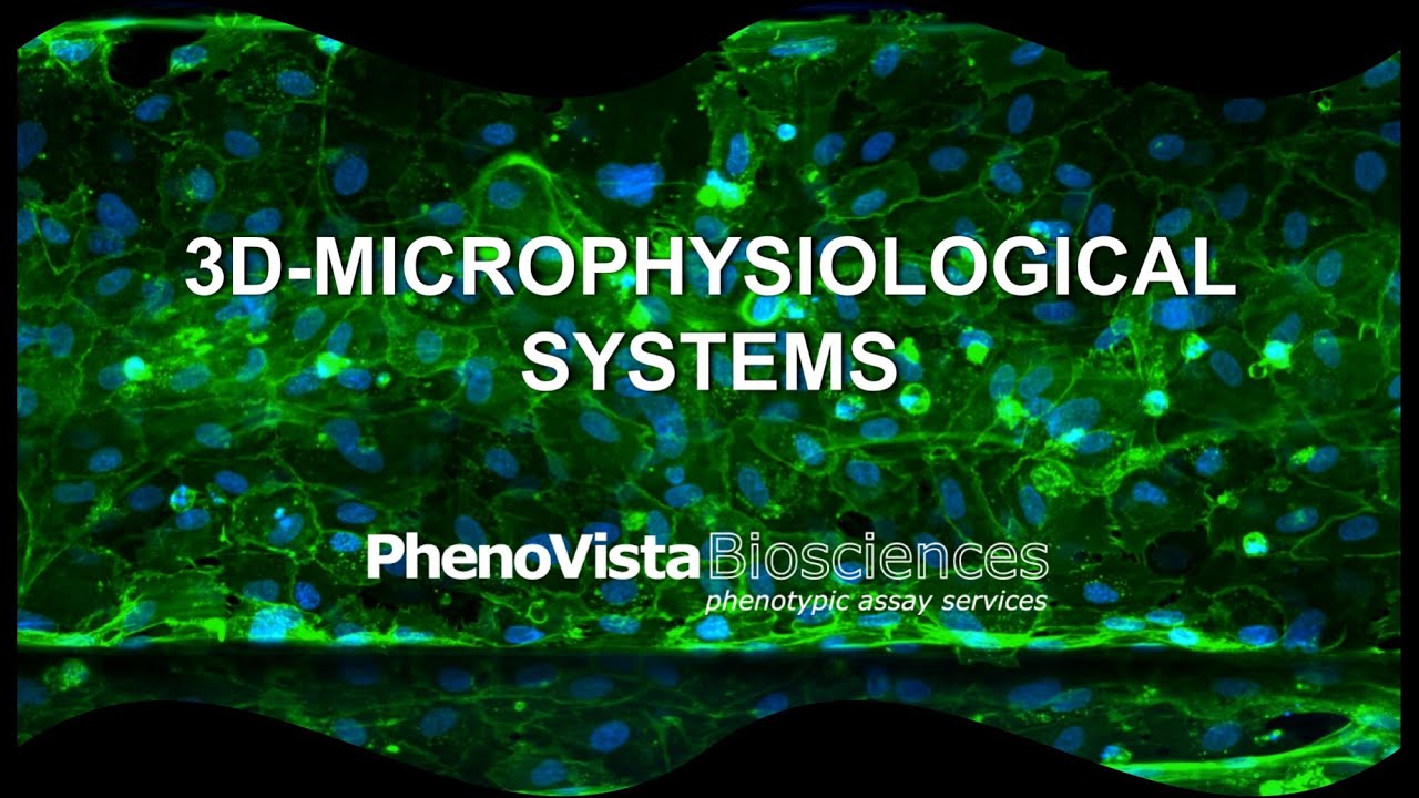 3d Microphysiological Systems Youtube